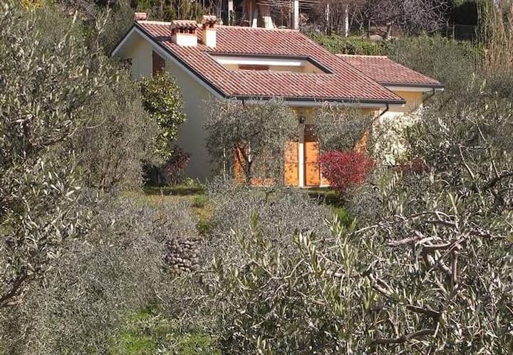 Villa Rocca A Marciaga - Garda