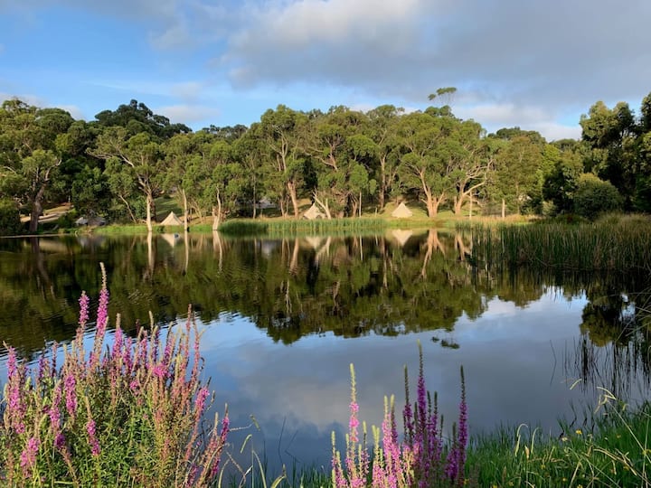 Family Glamping  At Iluka Retreat - Shoreham