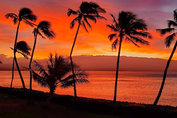 ¡Nuevo Listado! Frente Al Mar Directo, Vistas Increíbles, Sandy Beach, Ac - Hawái