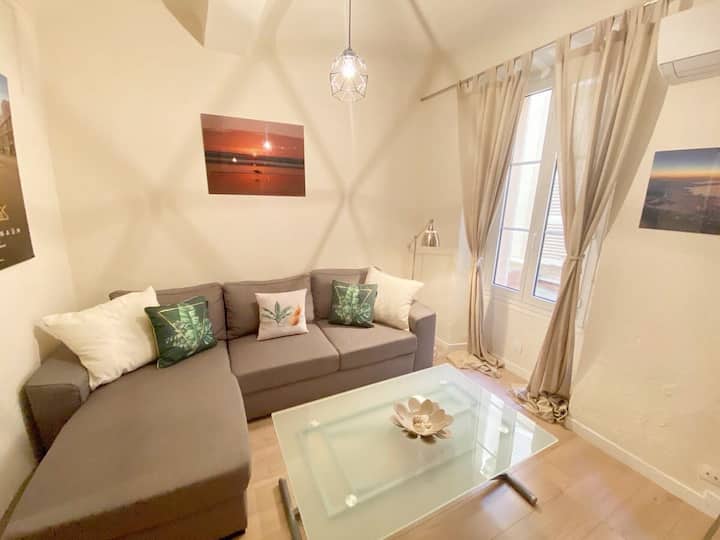 Appartement Chaleureux 2 Chambres 2 Salles De Bain - Cannes