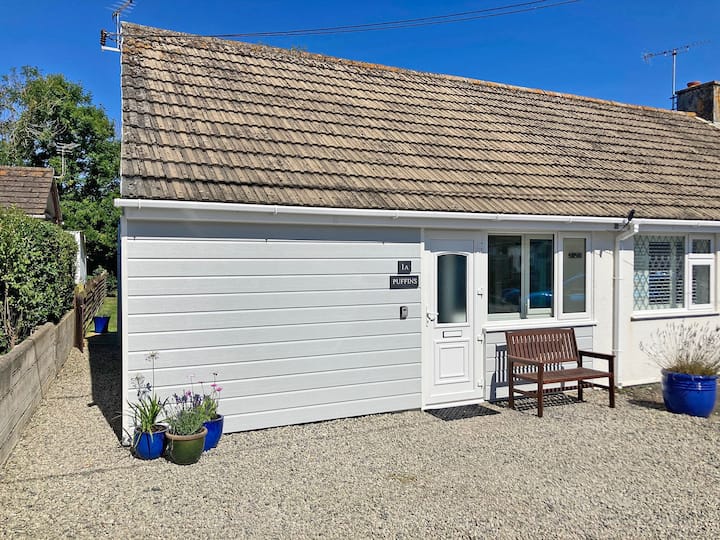 Puffins - Port Isaac