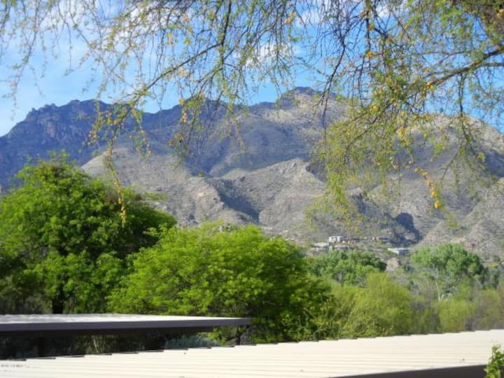 Model 3 Bedrm With Office/den  Second Floor With S - Mount Lemmon, AZ