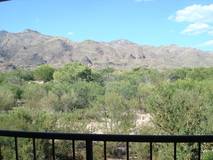 1 Bedrm/den With Fantastic Mountain Views-open Flo - Tucson, AZ