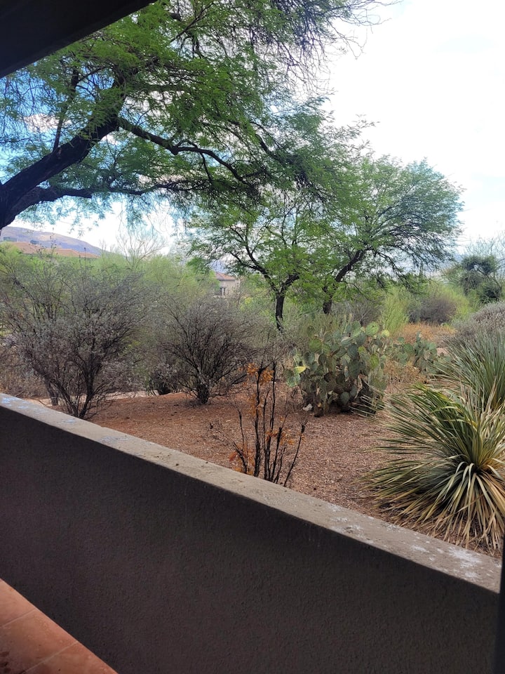 Hacienda En El Desierto! Vistas A La Montaña Y Un Toque Del Suroeste! - Catalina Foothills, AZ