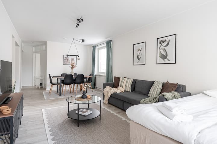 Spacious Downtown Apt With Balcony That Hosts 10 - Tampere