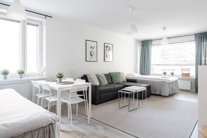 Spacious Downtown Apt With Balcony That Hosts 10 - Tampere