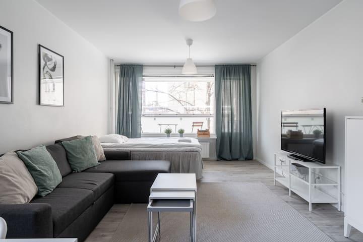 Spacious Downtown Apt With Balcony That Hosts 10 - Tampere