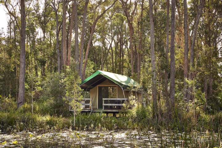 Lagoon Safari Tent - Woolgoolga