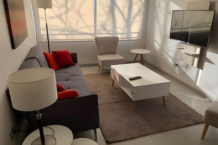 2br Barrio Tranquilo En Providencia Full Equipo - チリ プロビデンシア