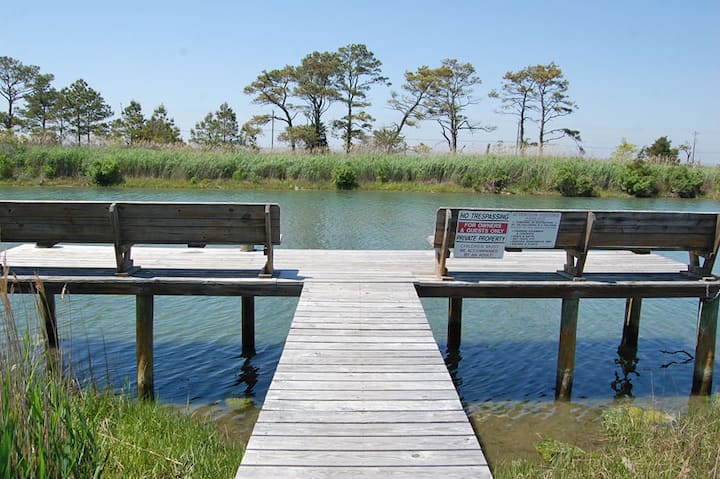 Millers Marsh- Marsh & Wetland Views - Chincoteague, VA