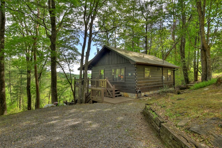 Cozy Mountain-mountain View, Hot Tub, Gas Fire Pit - Ellijay, GA