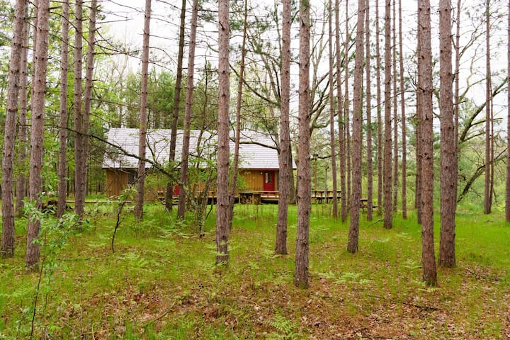 Pere Marquette River Fishing Cabin 3 - Baldwin, MI