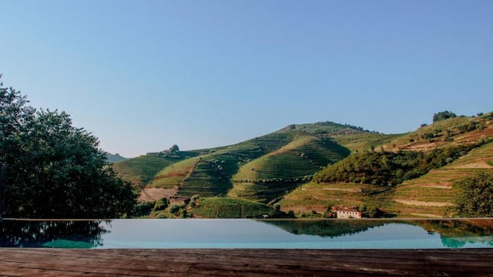Grapegarden - Quinta Do Vale Da Ermida - Vila Real