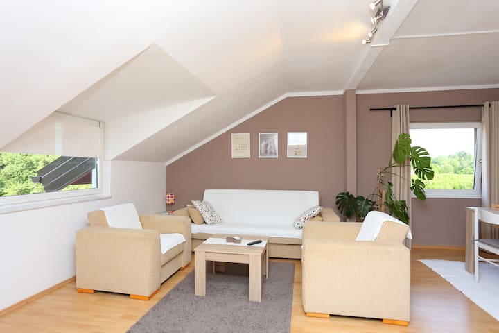 A-16905-a Appartement De Deux Chambres Avec La - Slunj