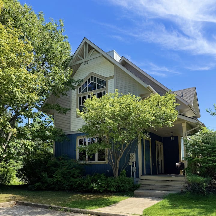 The Aurora - Collingwood