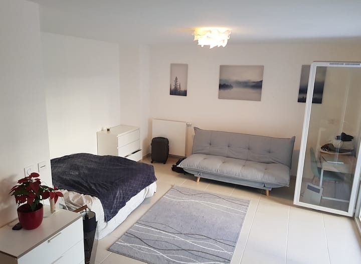 Very Spacious And Cosy! Near Un & Cern ! - Genève