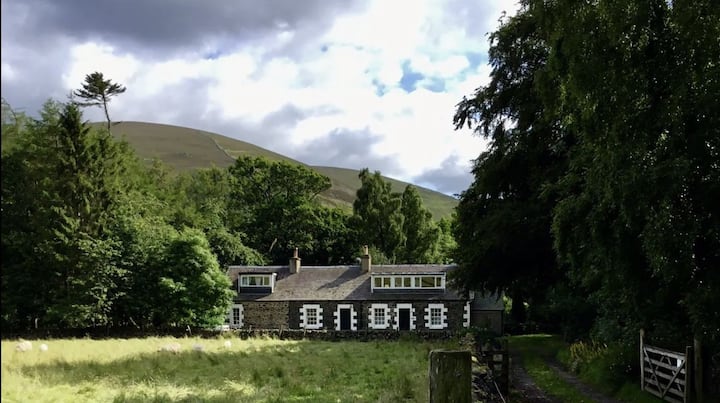 Tranquil  Secluded Garden Cottage. Peebles 4m. - Peebles