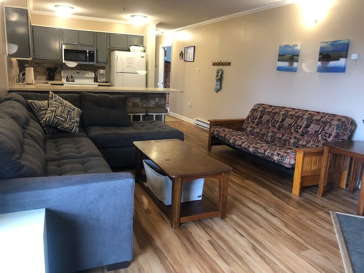 Winterplace Condo E306 - 根特