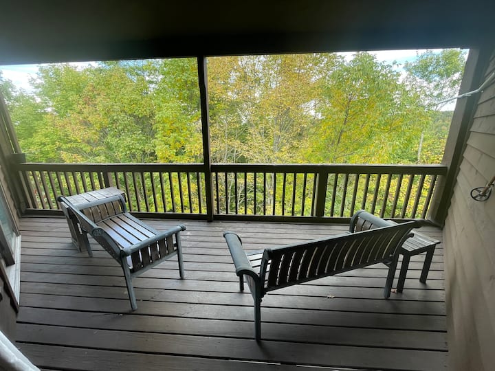 Winterplace Condo E306 - Ghent, WV