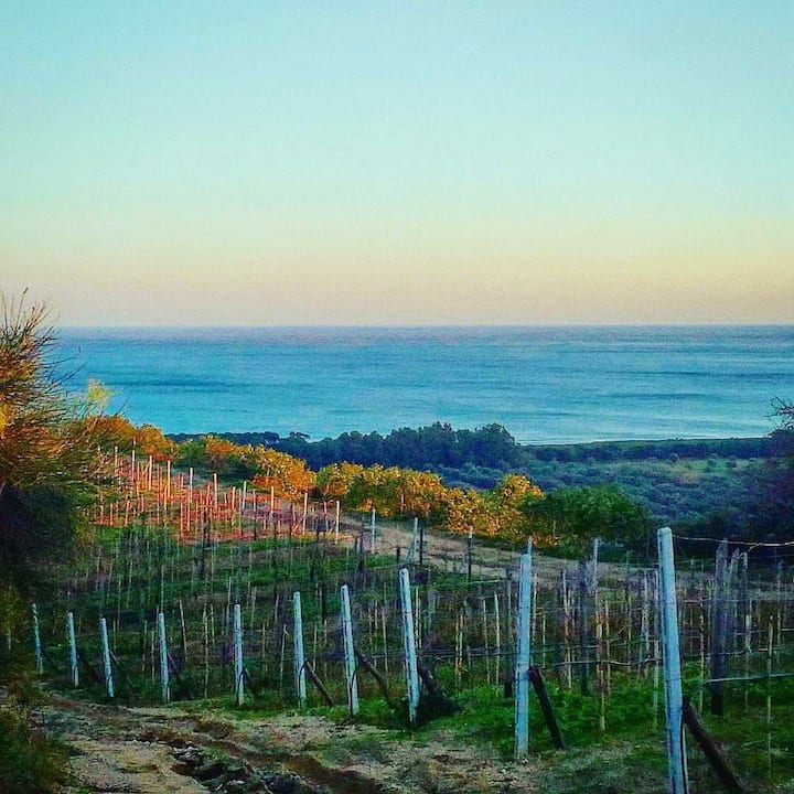 Appartement-exécutif-sdb Privée Avec Douche-vue Su - Catanzaro