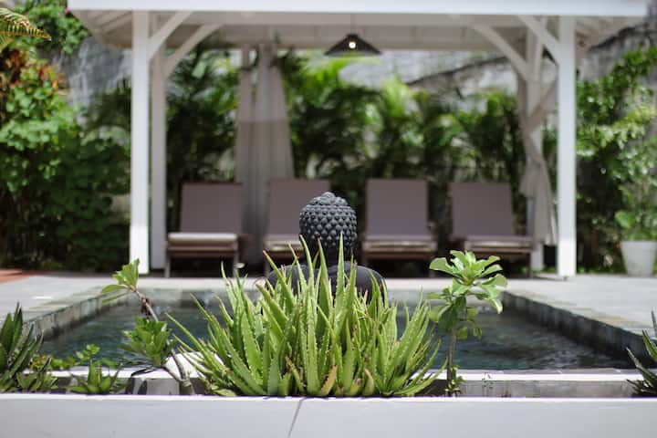 Villa Dizac - Martinique