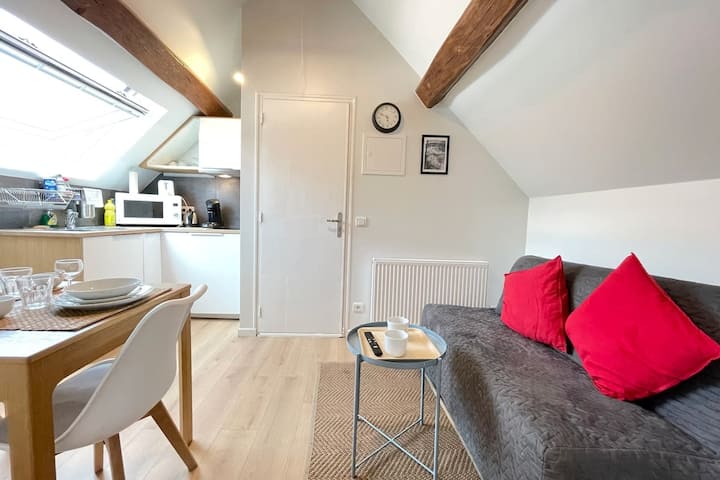 M12 - Le Vieux Massy Rer 600m Orly 20 Min Netflix - Massy