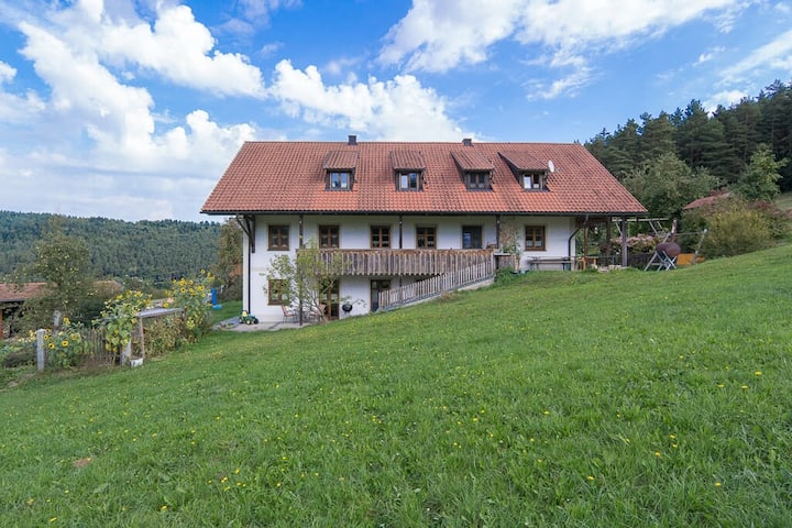 Balsnhof (Chamerau), Ferienwohnung Obstgarten (62qm) Mit Küche Und Terrasse - Cham