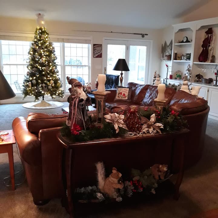 Anglers Cove On Lake Balboa Christmas Decorations - Hot Springs Village, AR