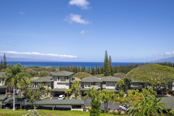 Kgv 24t8  Spacious 1bd Oceanview Villa - Kapalua, HI