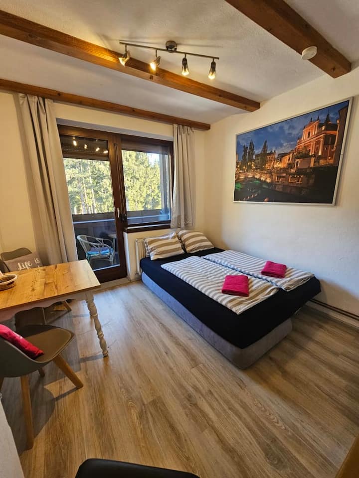 Karawanken Lodge Appartement Mit Balkon - Villach