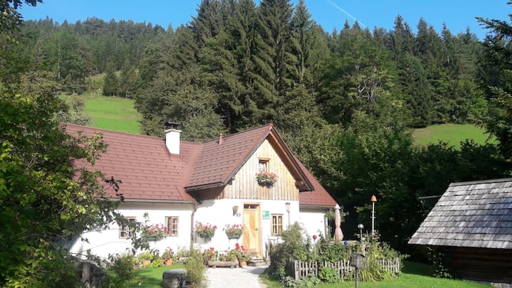 Ferienhaus Lenzau - Hochkar