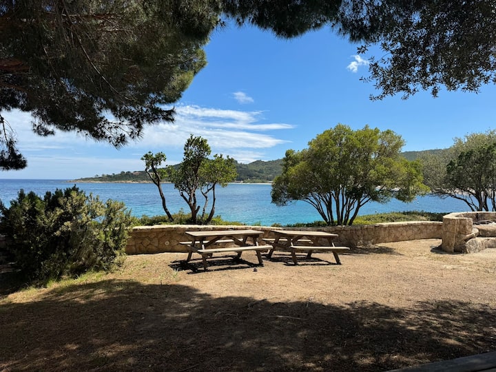 Appartement N°19, 1er Etage Sans Vue Mer - Corsica