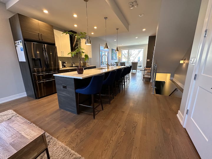 Modern Sfh Near Mccormick Place & Soldier Field - Chicago