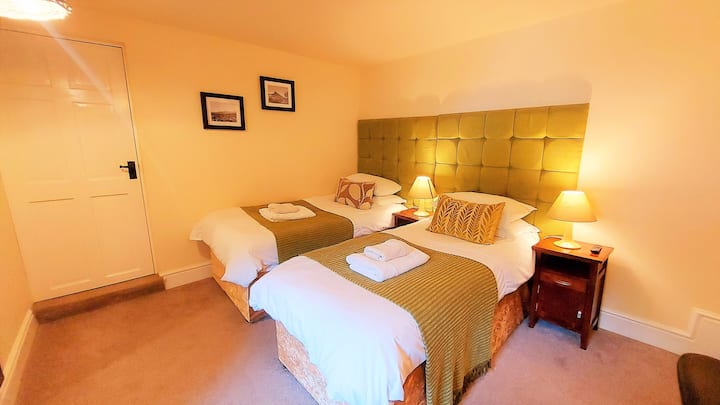 Twin Bedroom In Historic Dolgun Uchaf B&b - Gwynedd