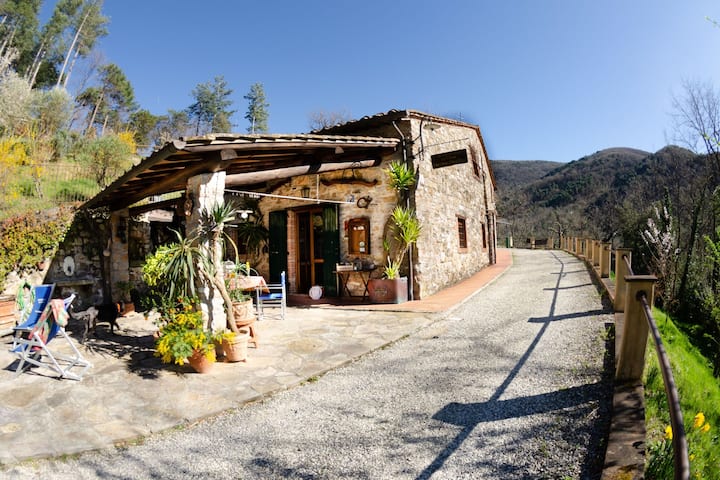 Le Piane - Lucca