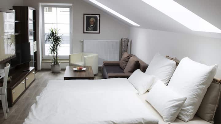 Appartement-standard-salle De Bain Partagée - Wurzen