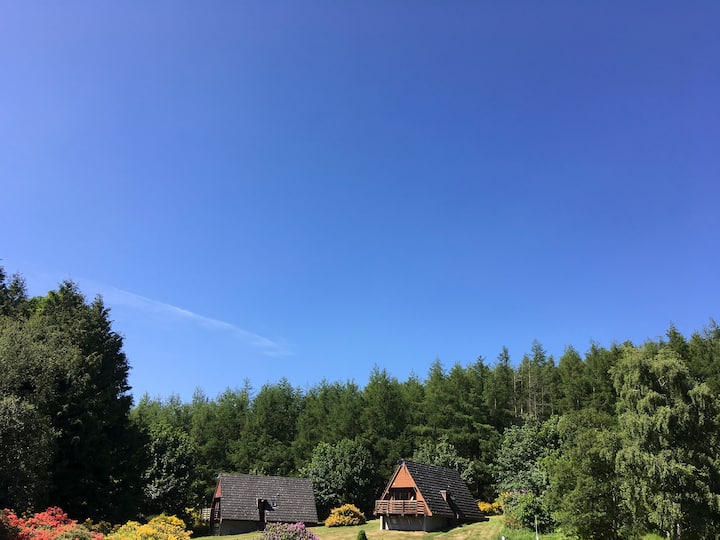 Thistle Lodge - Uk7051 - Fort George