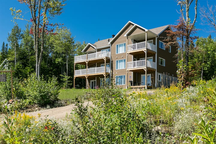 Condo Lumineux Et Tout éQuipé - Baie-Saint-Paul, QC