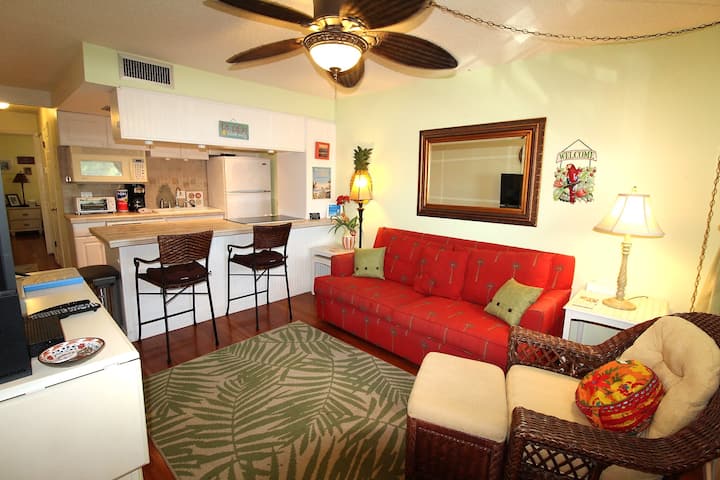 Sunset Cove: One-bedroom In Treasure Island - South Pasadena, FL