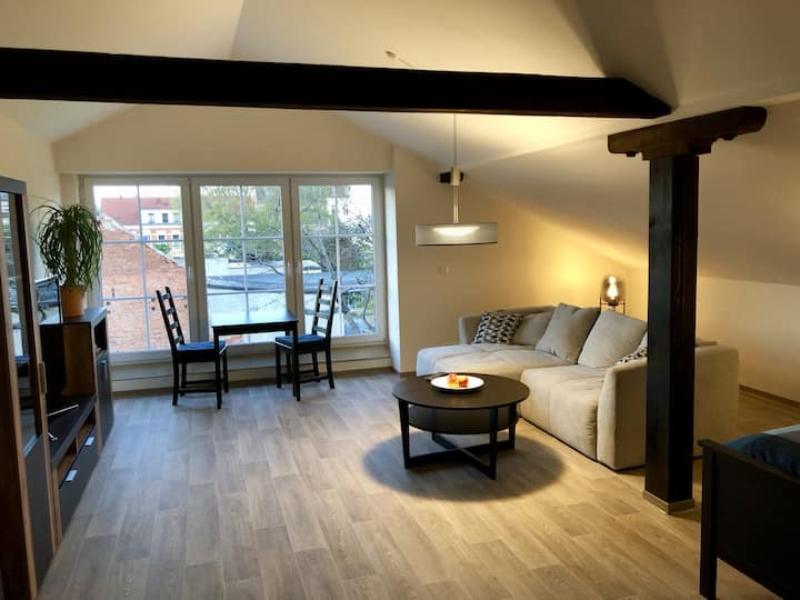 Appartement-de Luxe-salle De Bain Partagée - Wurzen