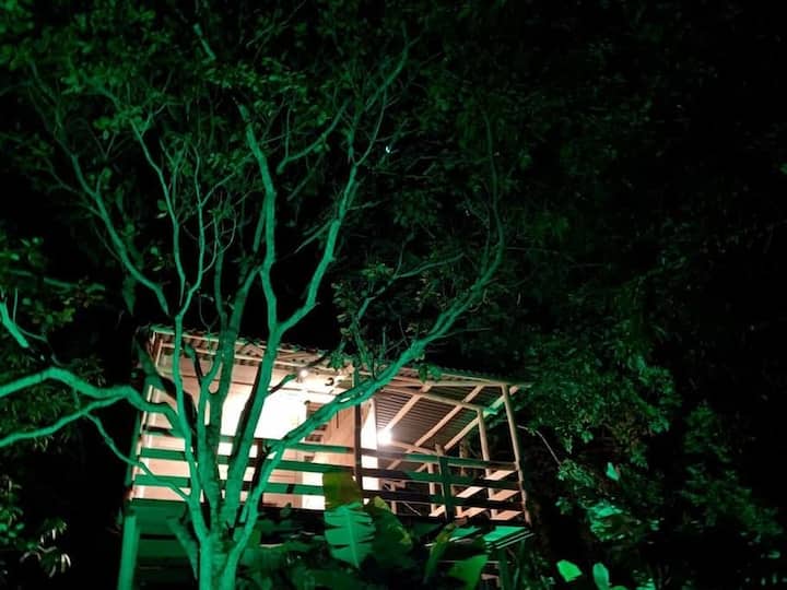 Casa De ÁRvore - Acácia Tree House - Pirenópolis