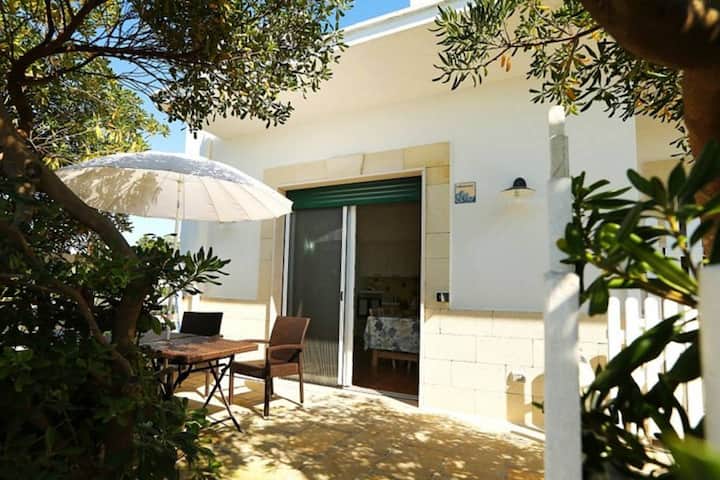 Appartements Avec Vue Sur La Mer Entièrement éQuip - Punta Prosciutto