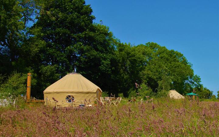 6 Best Yurts Near Masham, UK - Updated 2024 | Trip101