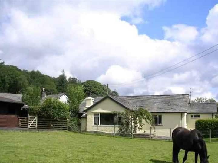Long Meadow - Dog Friendly - Large Grounds - Coniston