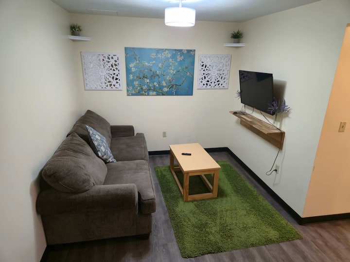 2 Bedroom/2 Bath Downtown | Sleeps Six | Walkable - Pittsburgh