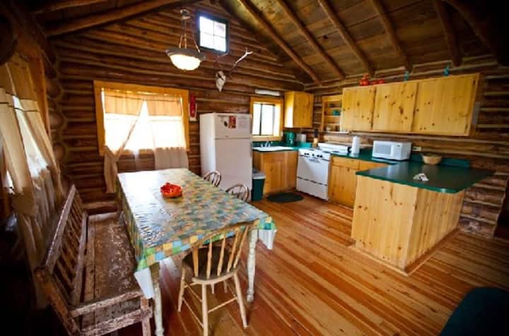 Browns Rustic Log Cabin Retreat - Greer, AZ