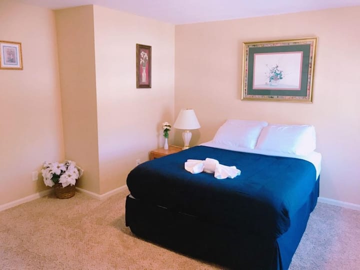Beautiful Apartment In Historic Downtown Area! - Greensboro, NC
