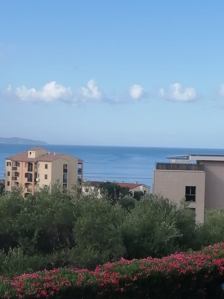 Casamea | Vue Mer • Clim & Parking • Proche Plage - Ajaccio
