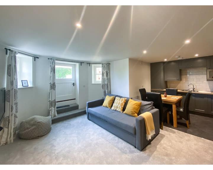 The Regency Ilfracombe Suite One Garden Access - Devon