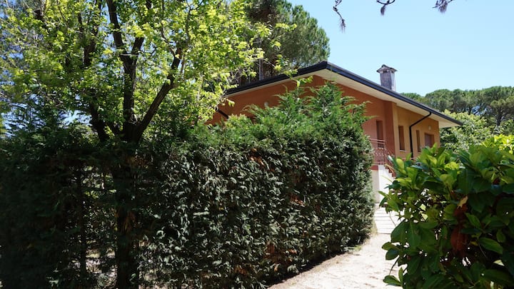 Spacious First Floor Apartment - Lignano Sabbiadoro